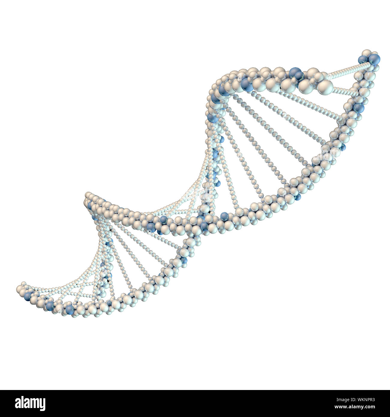 Illustration of white DNA chain. Isolated background Stock Photo - Alamy