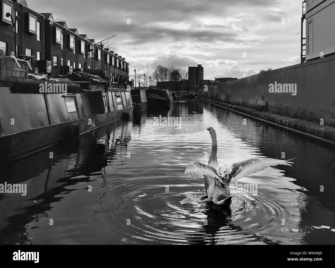 White swan building hi-res stock photography and images - Alamy