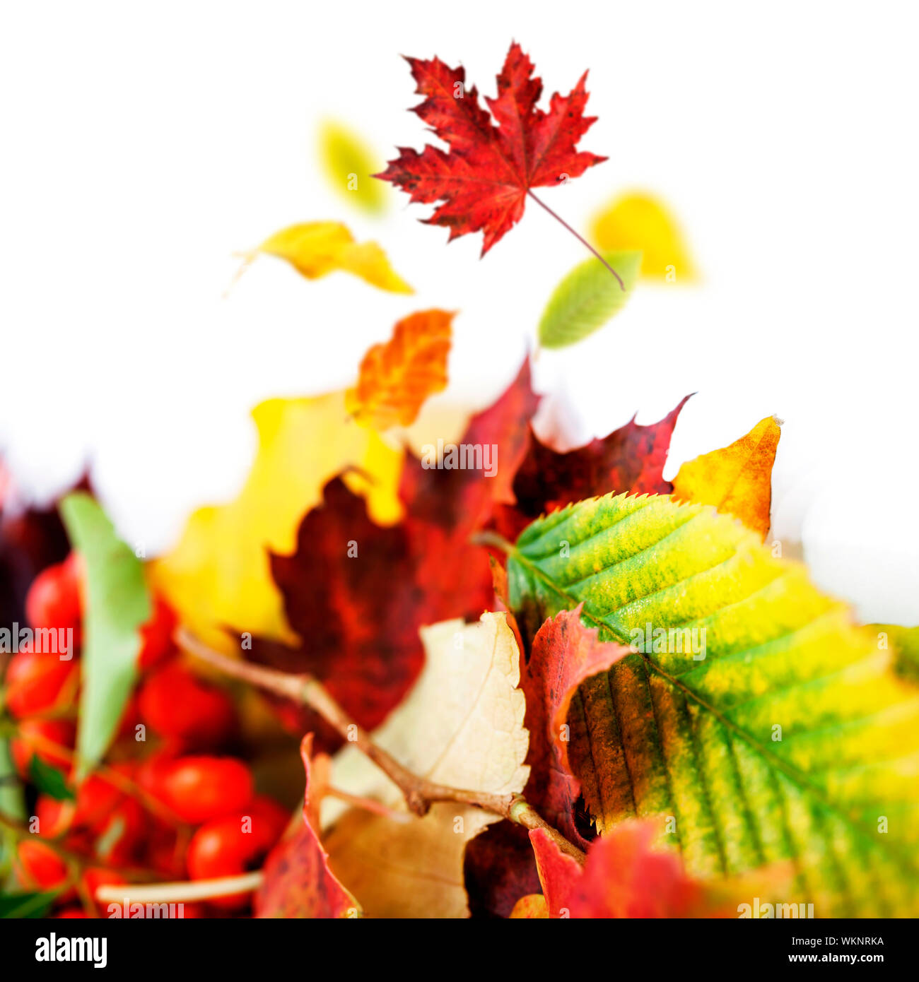 Fade frame hi-res stock photography and images - Alamy