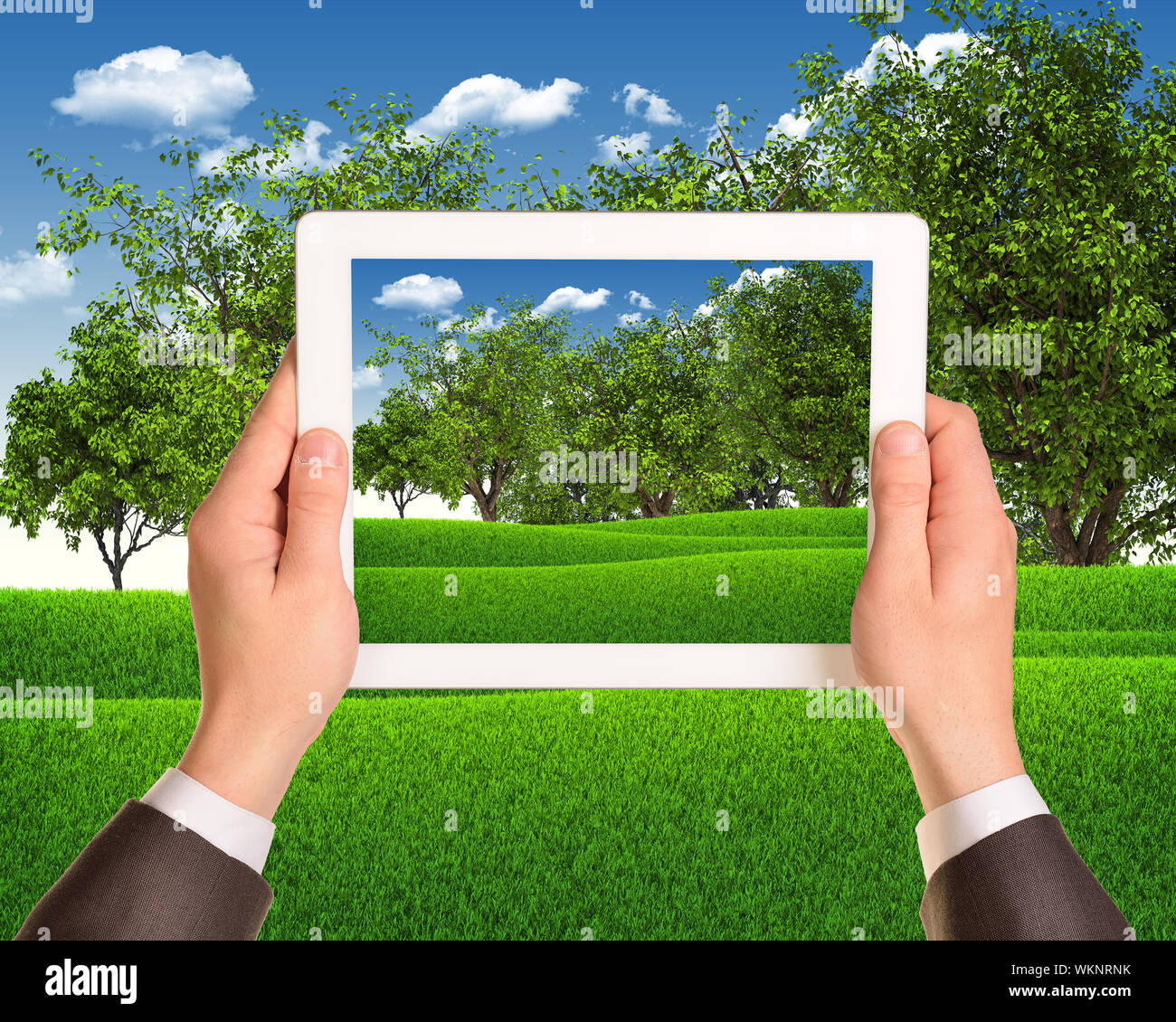 Hands hold tablet pc with nature landscape as backdrop. Eco concept ...