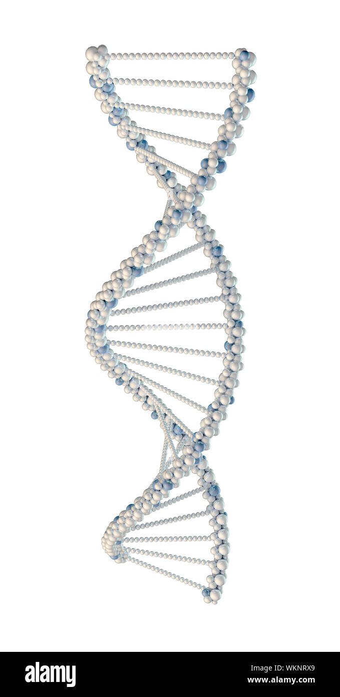 High resolution 3d render of human dna string Stock Photo - Alamy