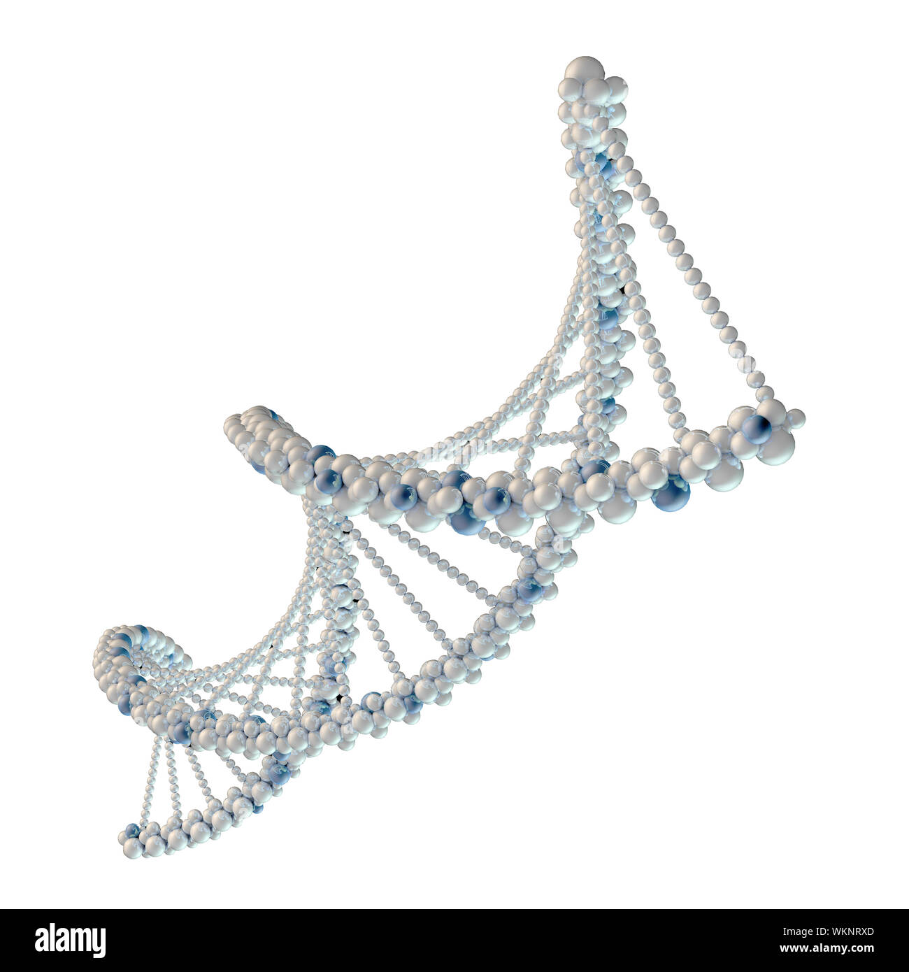 Illustration of white DNA chain. Isolated background Stock Photo - Alamy