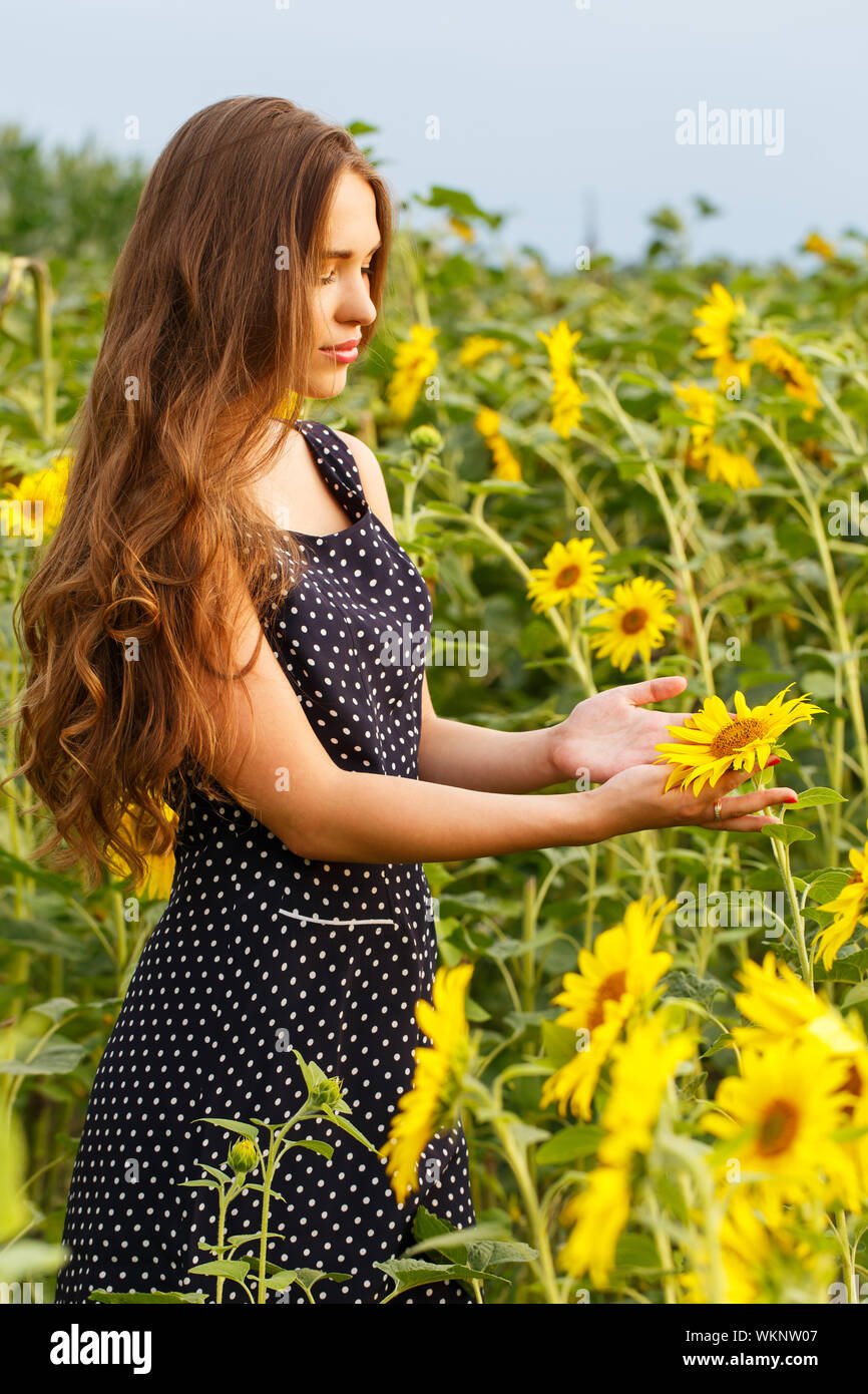 B373 hi-res stock photography and images - Alamy