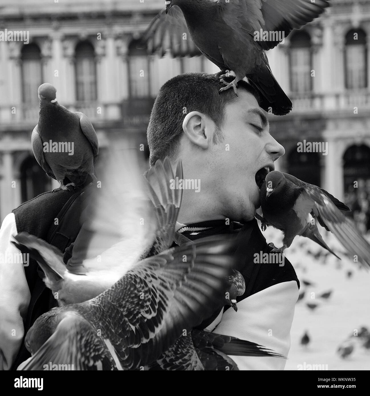 Pigeon on the shoulder hi-res stock photography and images - Alamy