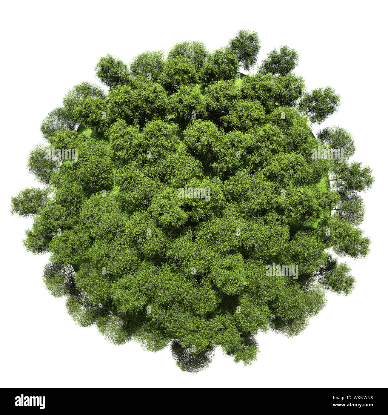 Miniature planet with leafy vegetation. Isolated on white background ...