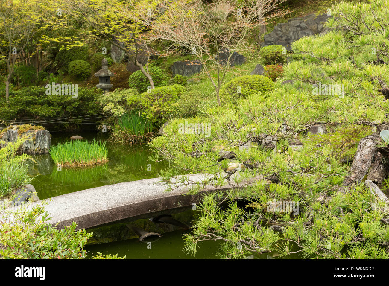 Small stone bridge in Japanese garden Stock Photo - Alamy
