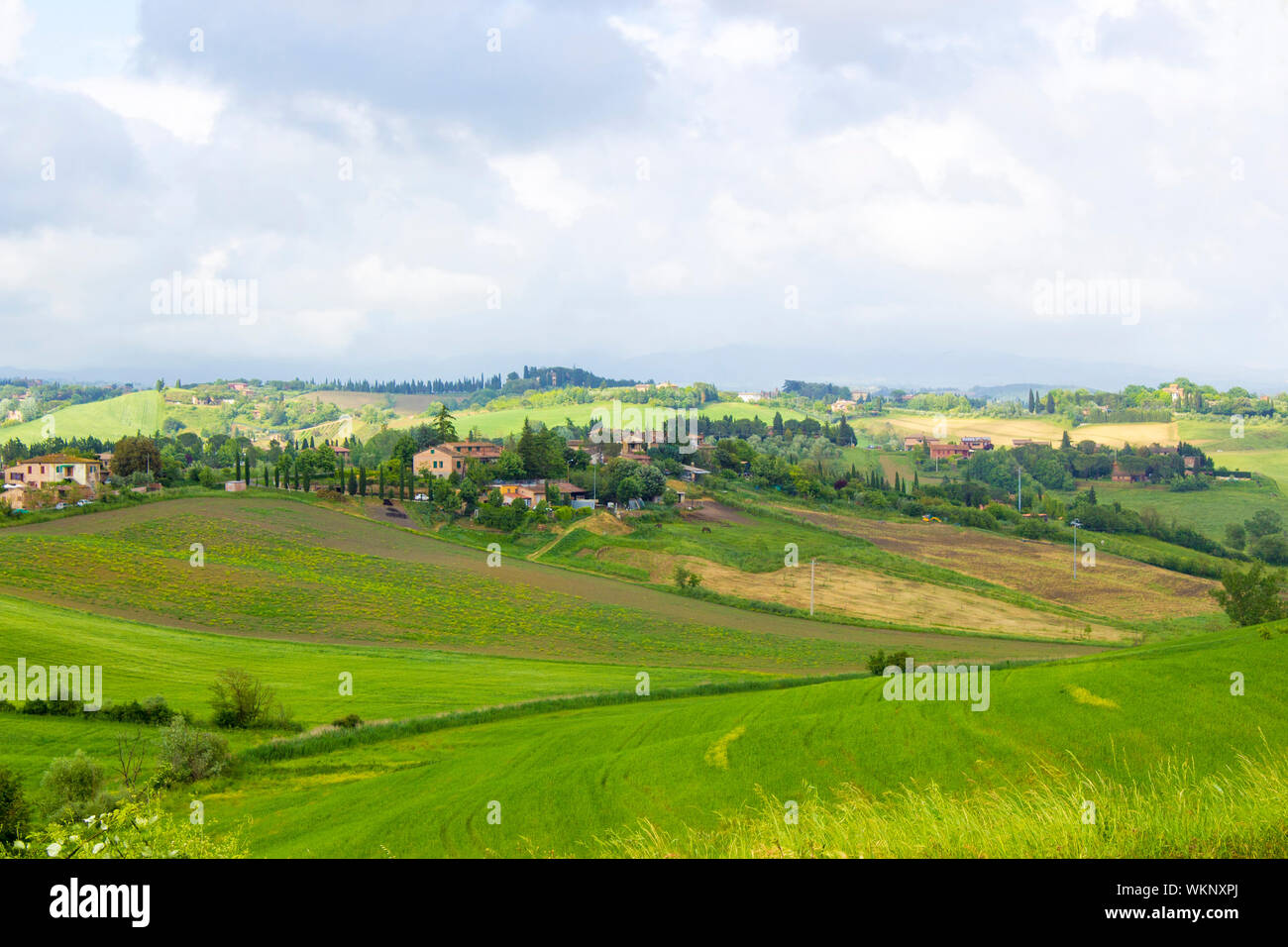 typical tuscan landscape in spring time Stock Photo - Alamy
