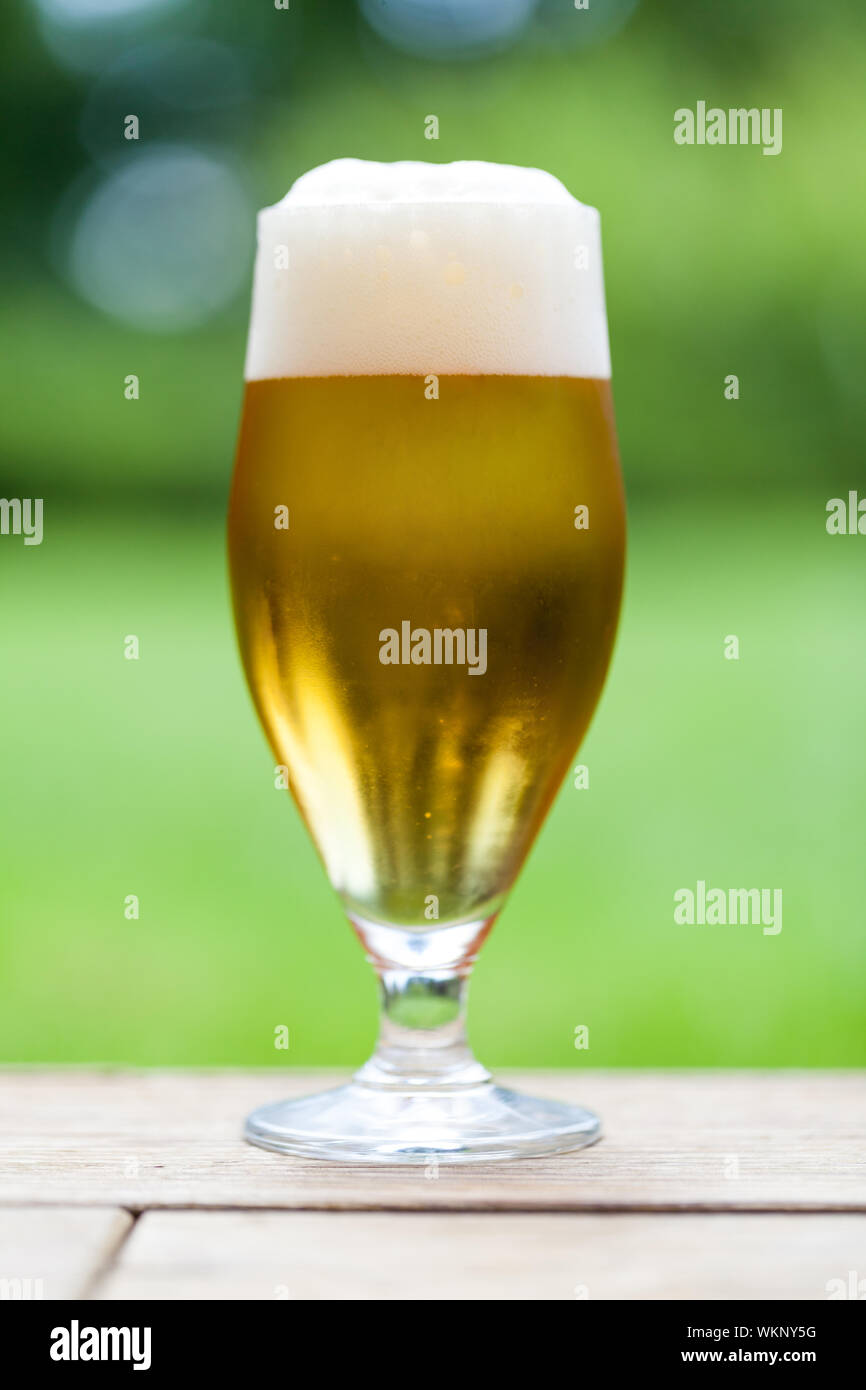 Elegant glass of cold refreshing beer Stock Photo - Alamy