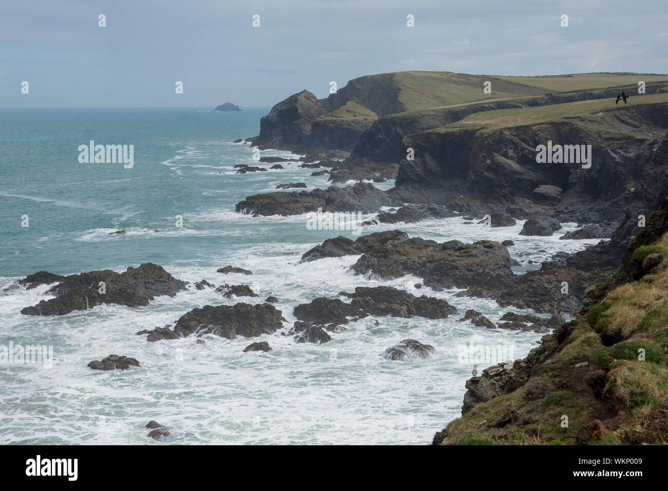 View of the north Cornwall Coast near Padstow with the sea, cliffs and ...