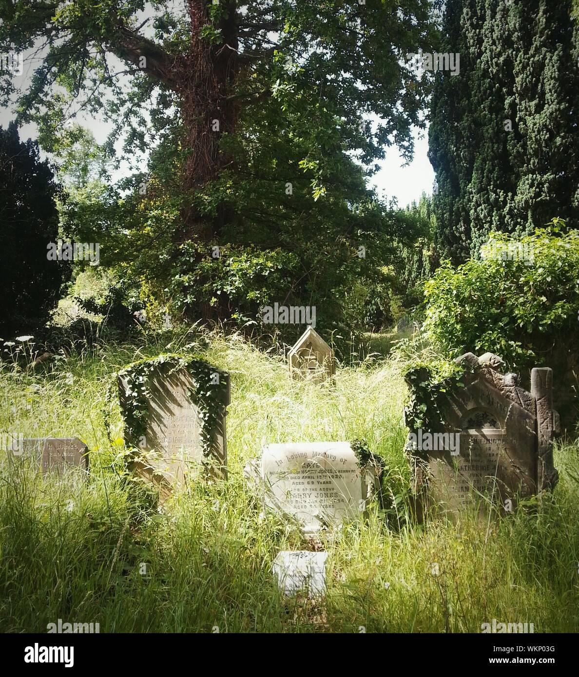 Old cemetery newtown hi-res stock photography and images - Alamy