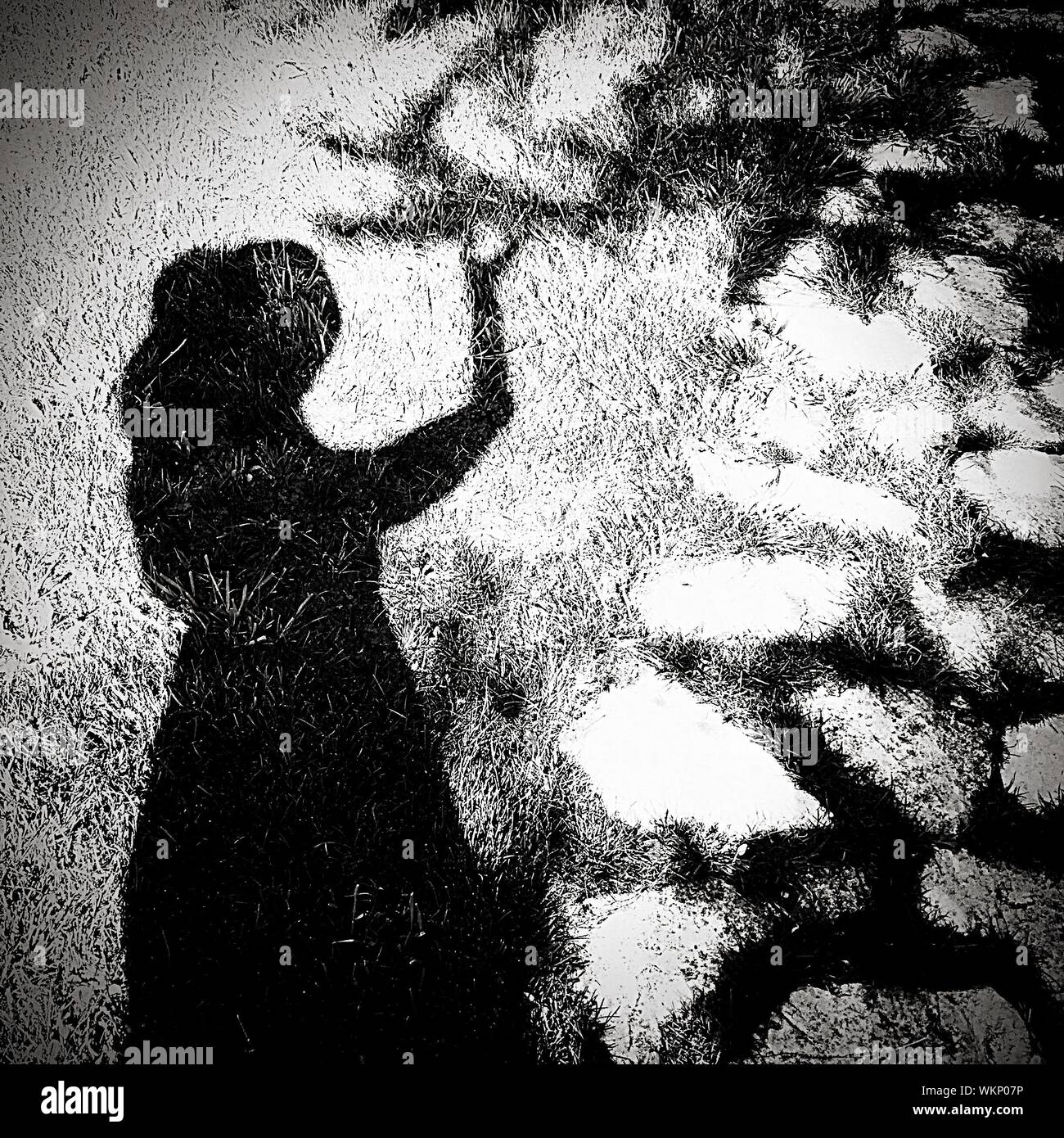 Woman outline shadow hi-res stock photography and images - Alamy