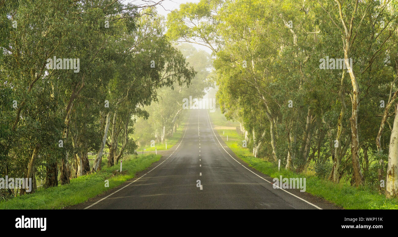 Adelaide hills scenic hi-res stock photography and images - Alamy