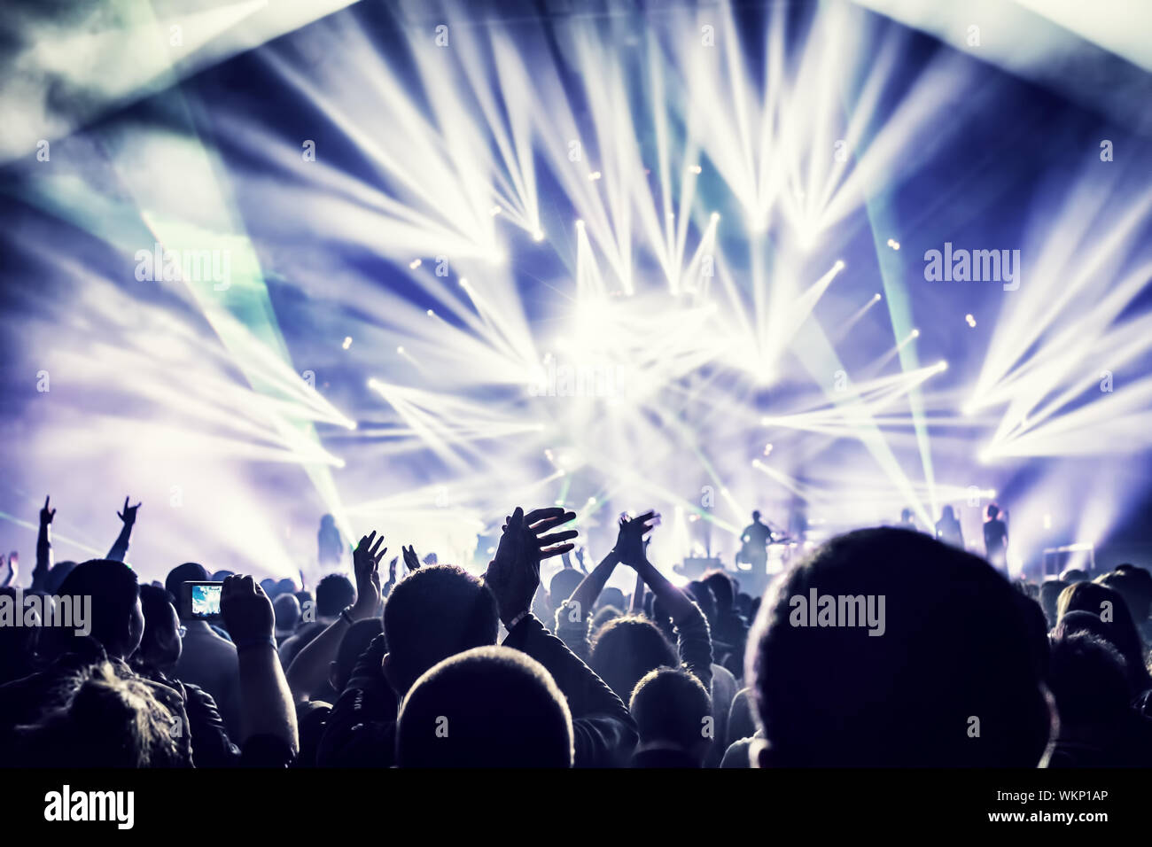 Crowd enjoying concert, happy people jumping, large group celebrating ...