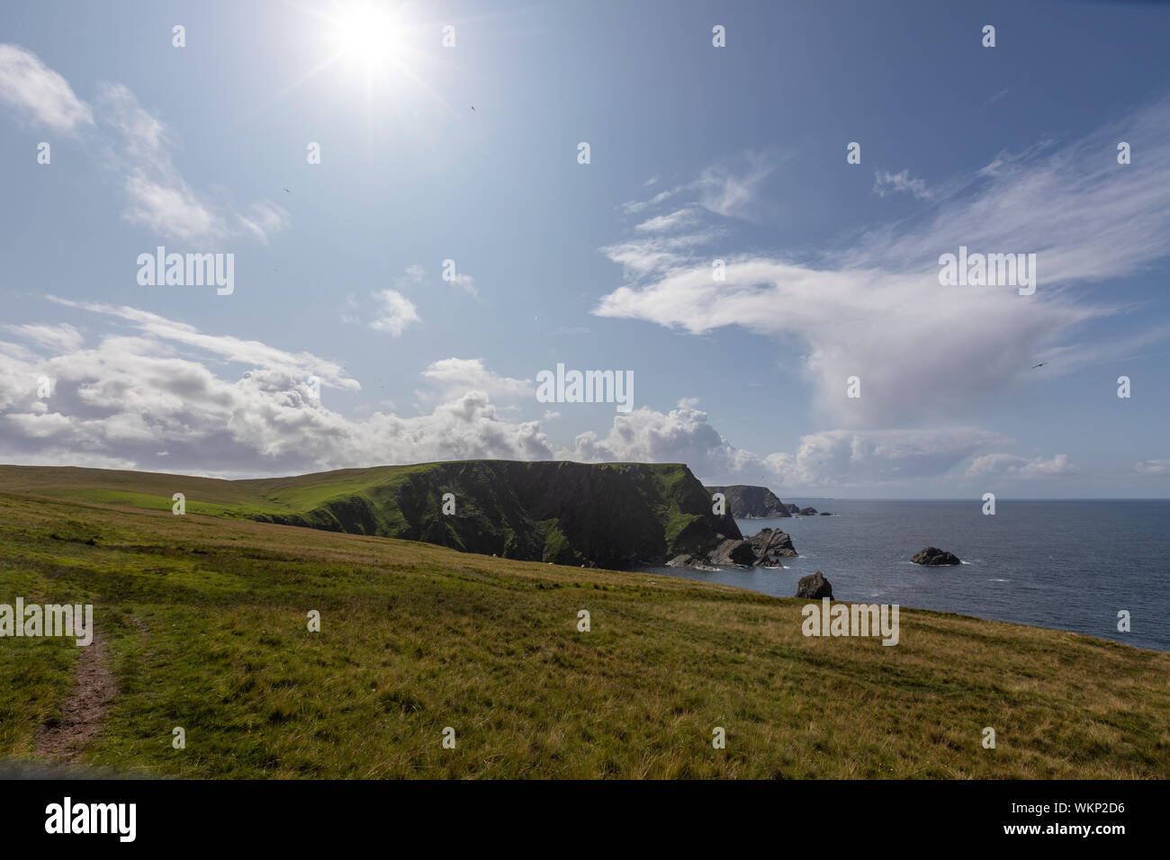 Hermaness national nature reserve hi-res stock photography and images ...