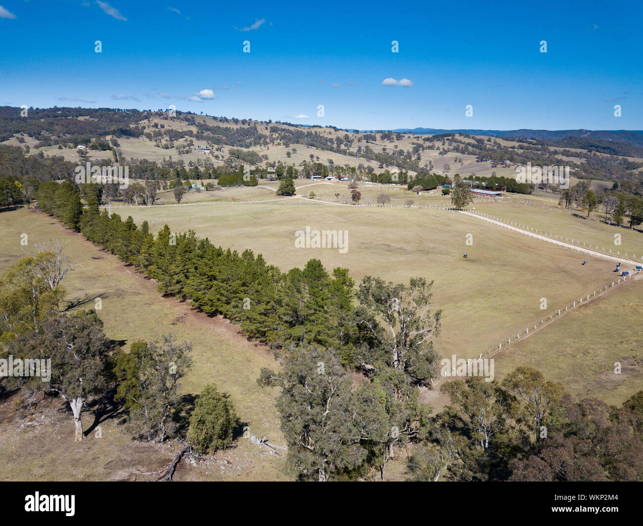 Horses in a field in the Megalong Valley in The Blue Mountains of New ...