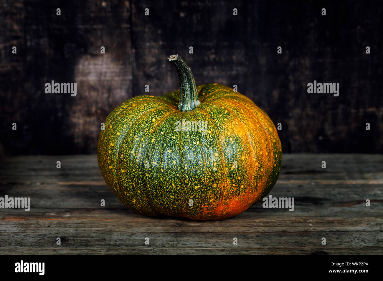 Pumpkin still life close hi-res stock photography and images - Alamy