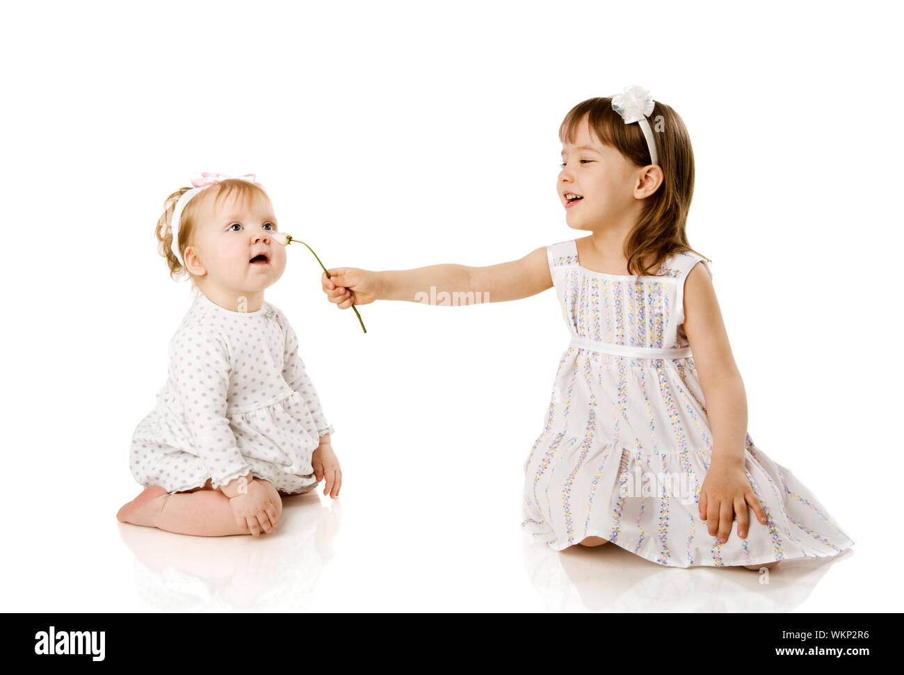 Two little Sisters playing smelling rose isolated on white Stock Photo ...