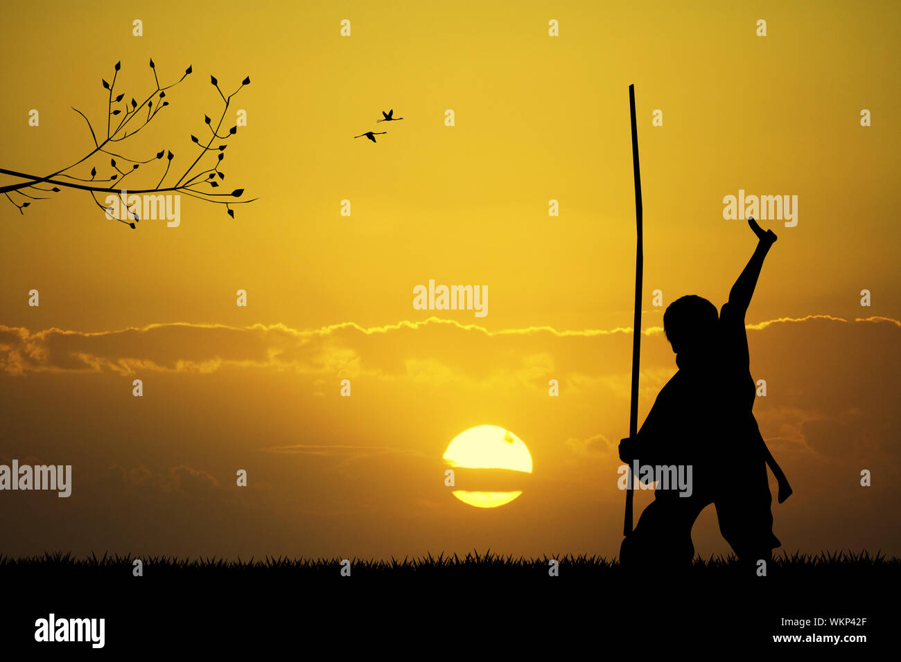 kung fu at sunset Stock Photo - Alamy