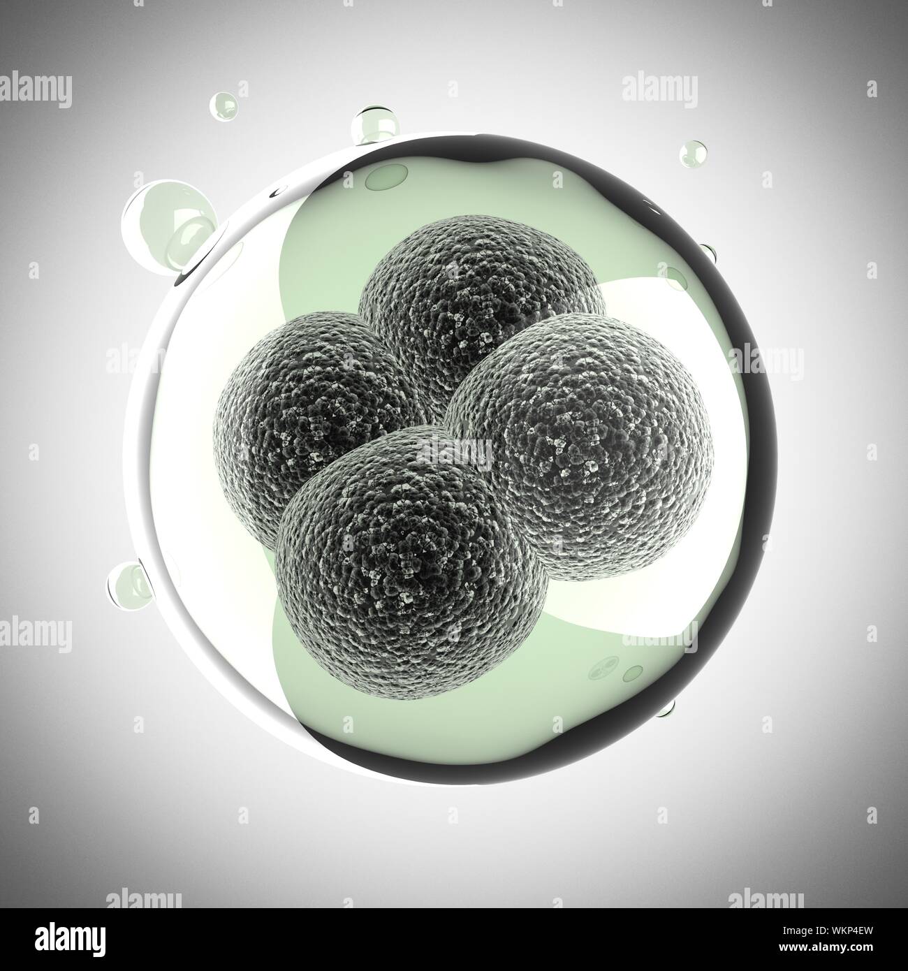 A micro cell division process illustration Stock Photo - Alamy