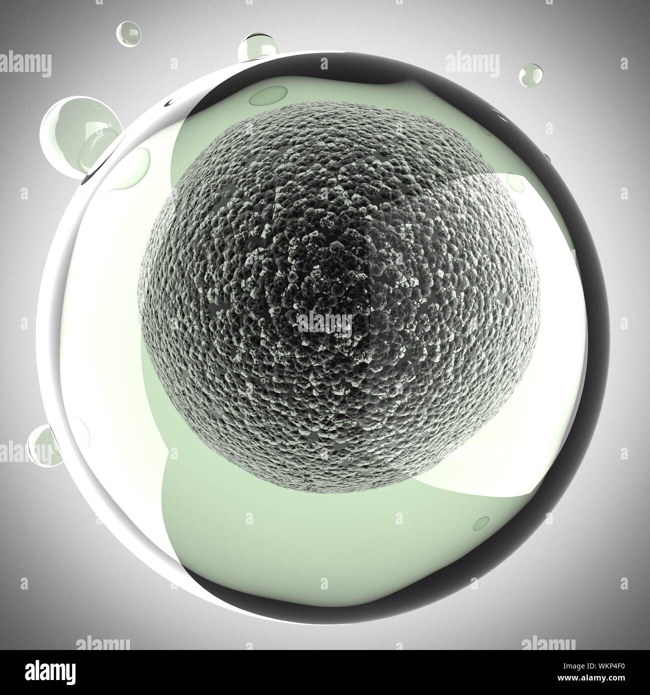 Cell nucleus microscope single hi-res stock photography and images - Alamy