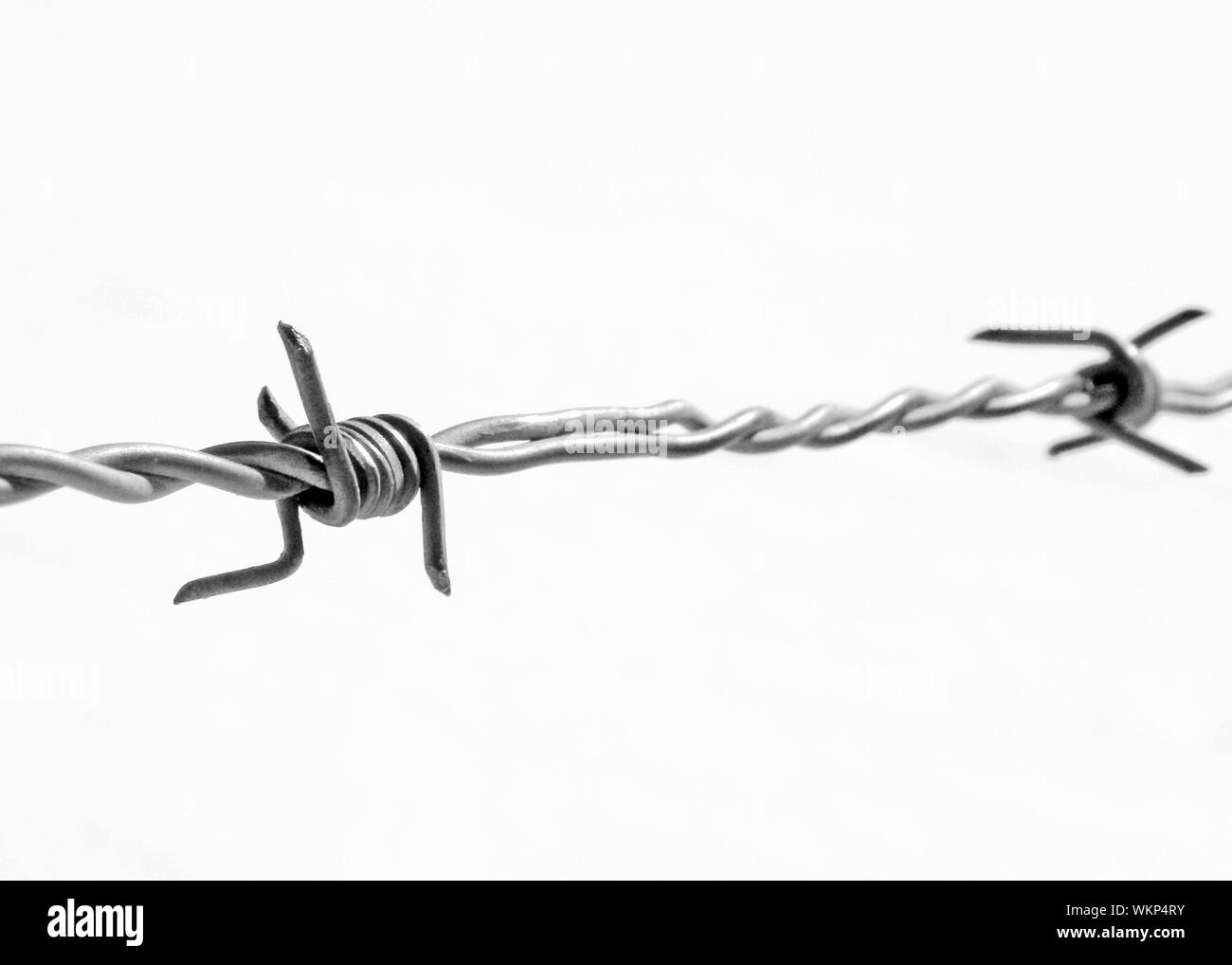 Border barb hi-res stock photography and images - Alamy