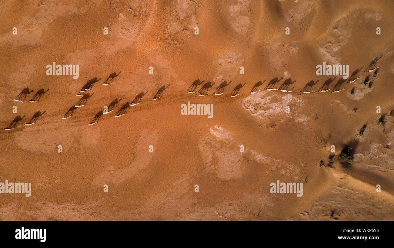 Camel shadow aerial hi-res stock photography and images - Alamy