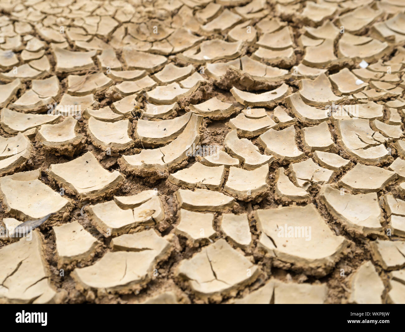 Mud flooring hi-res stock photography and images - Alamy