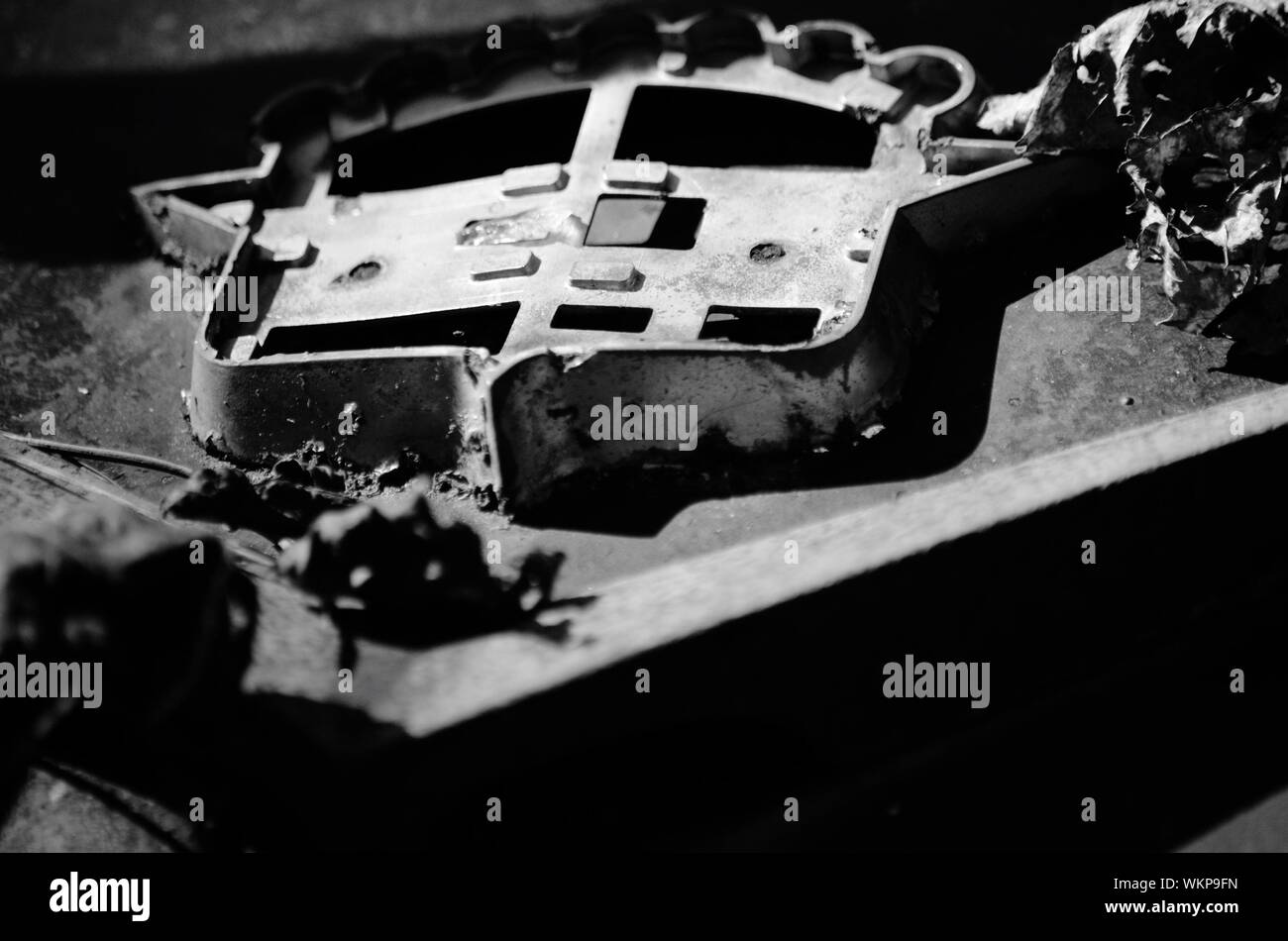 Car detail shot hi-res stock photography and images - Alamy