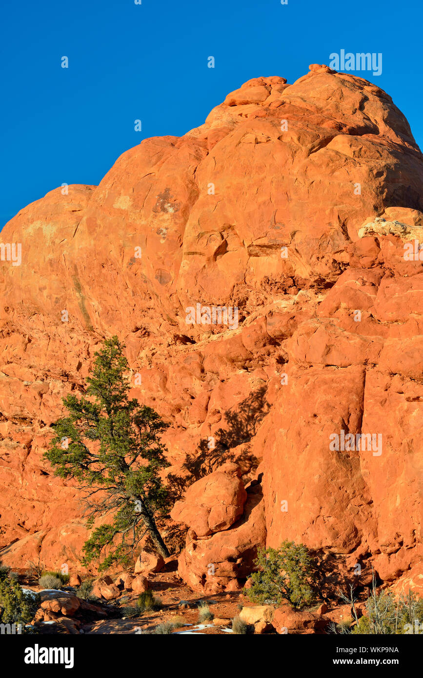 Sandstone fins near the Fiery Furnace, Arches National Park, Utah, USA ...