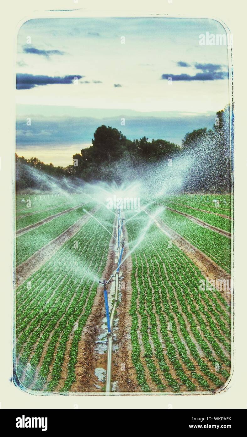 Watering Crops High Resolution Stock Photography and Images - Alamy