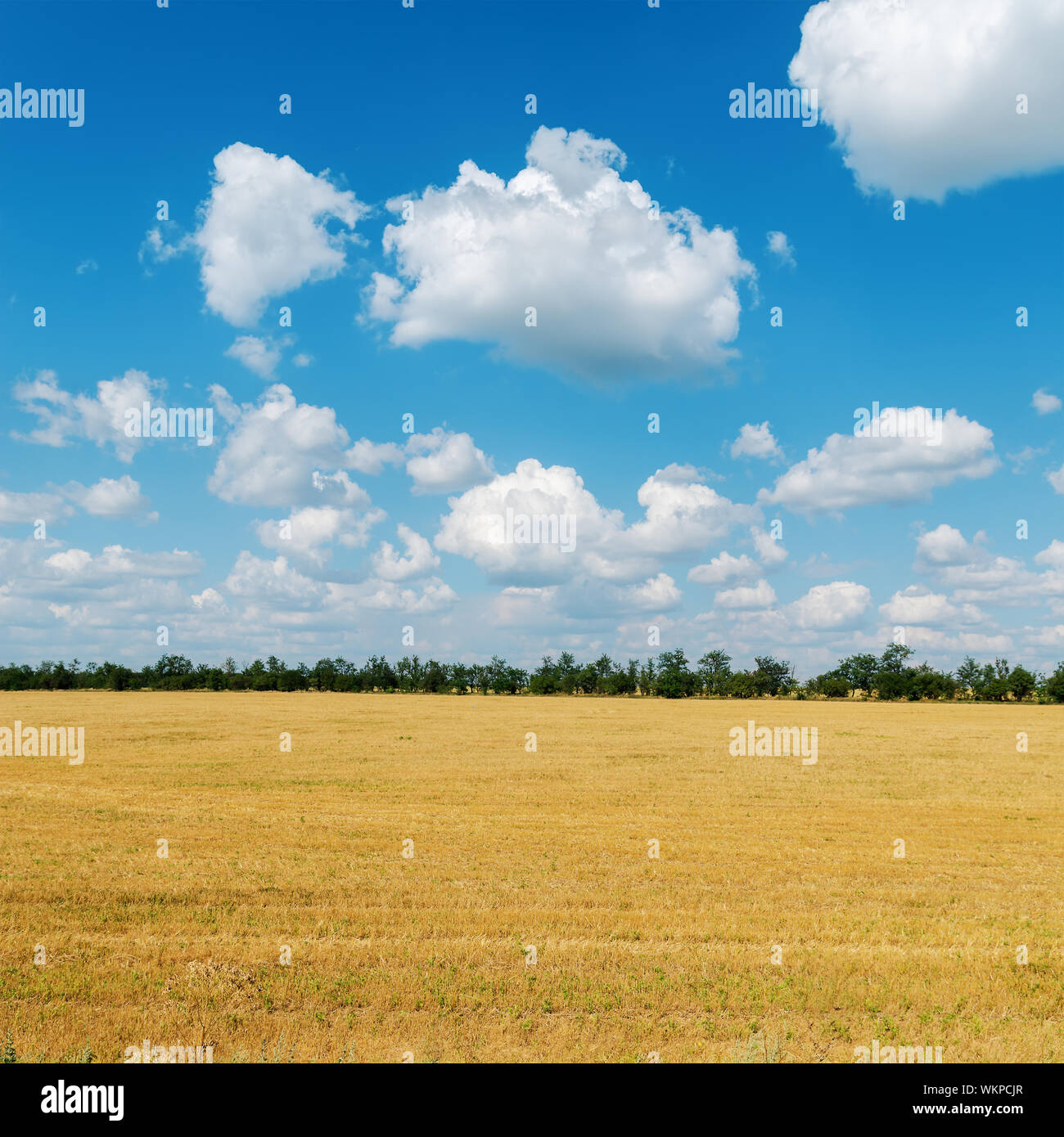 cloudy sky and field after harvesting Stock Photo - Alamy