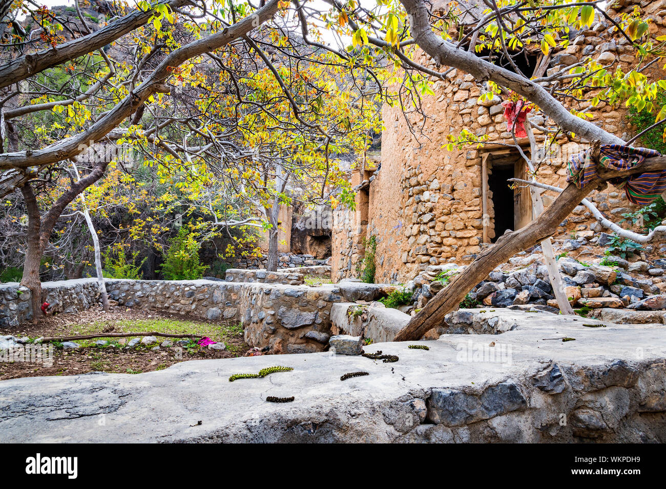 Image of ruins Wadi Bani Habib in Oman Stock Photo - Alamy