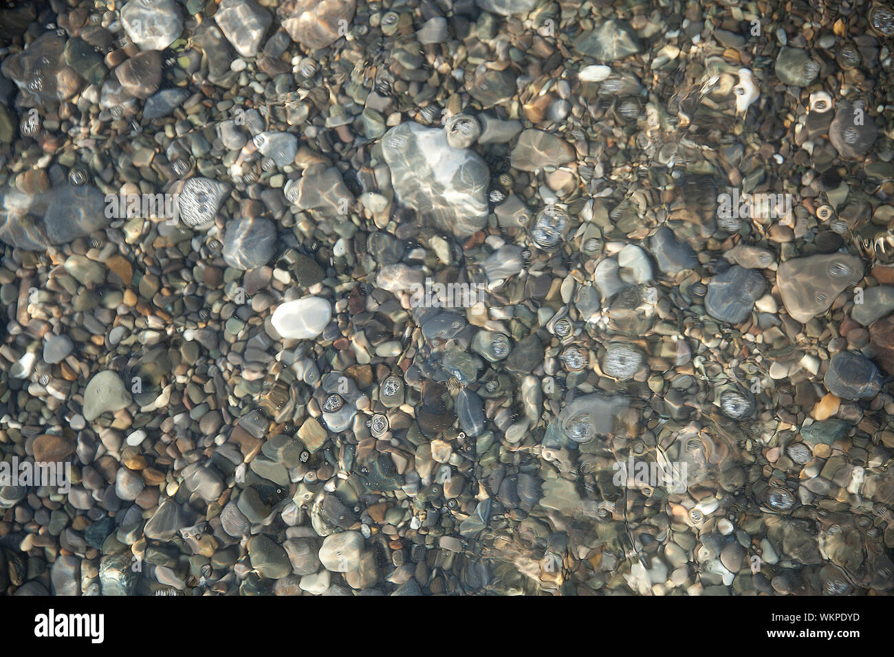 Pebble ground hi-res stock photography and images - Alamy