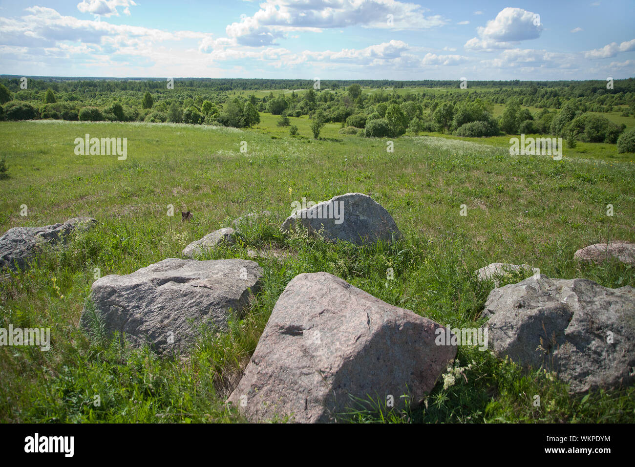 Rock green grass hi-res stock photography and images - Alamy