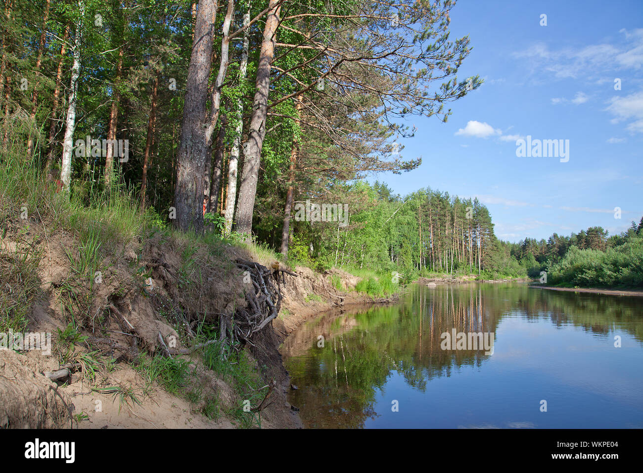 River in the forest Stock Photo - Alamy