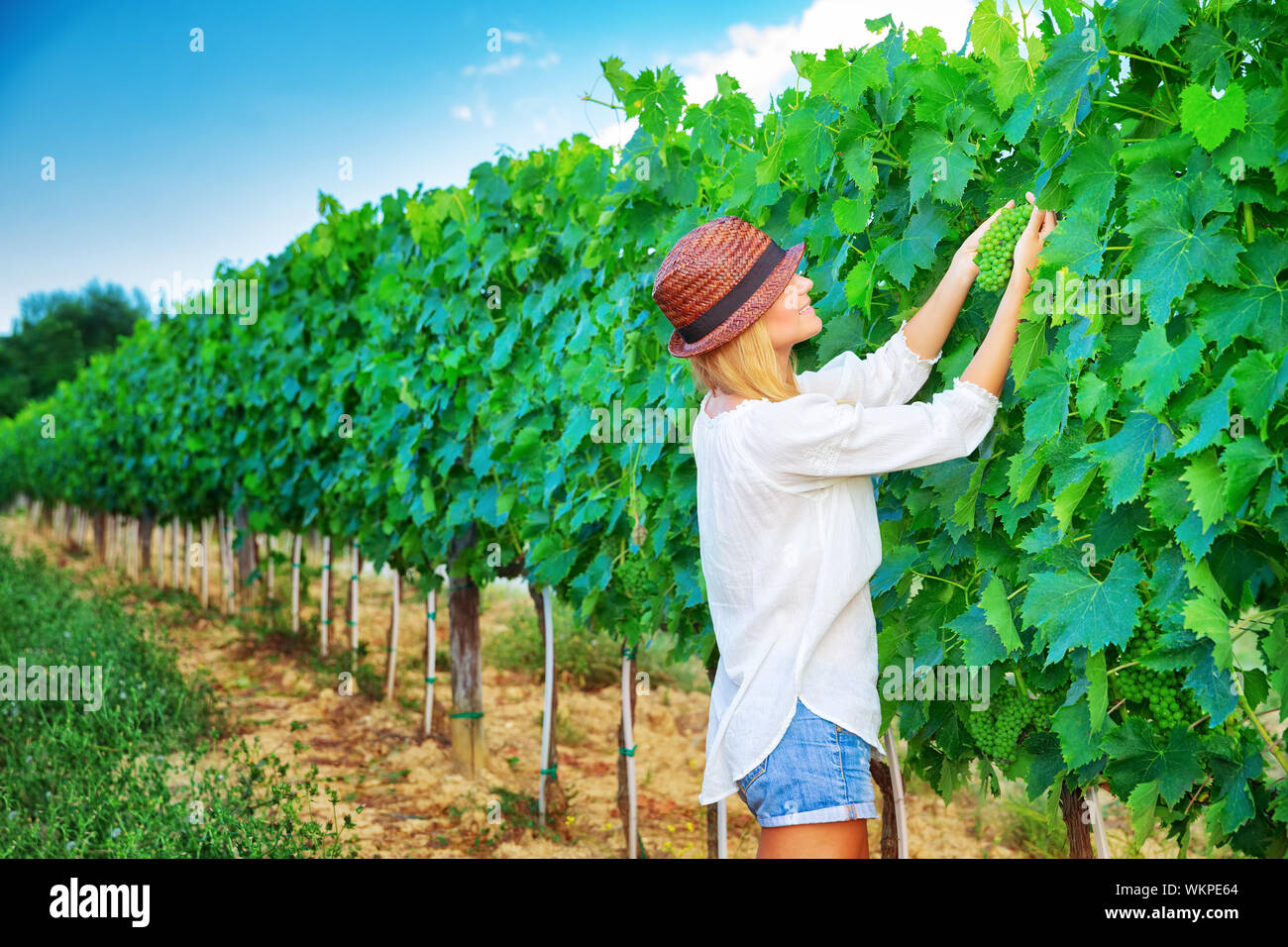 Grape Farmer