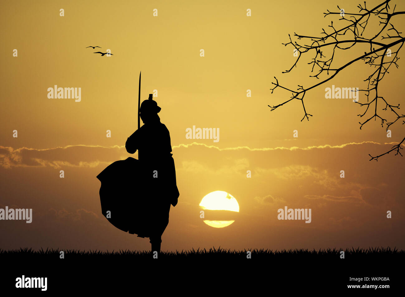 Fighting samurai Stock Photo - Alamy