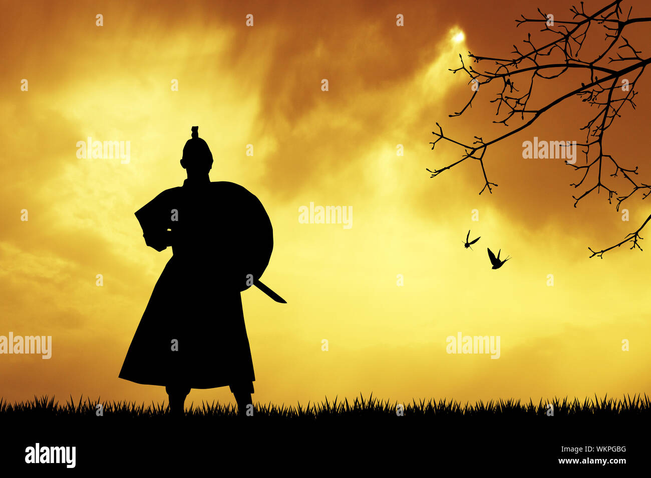 Samurai posing hi-res stock photography and images - Alamy