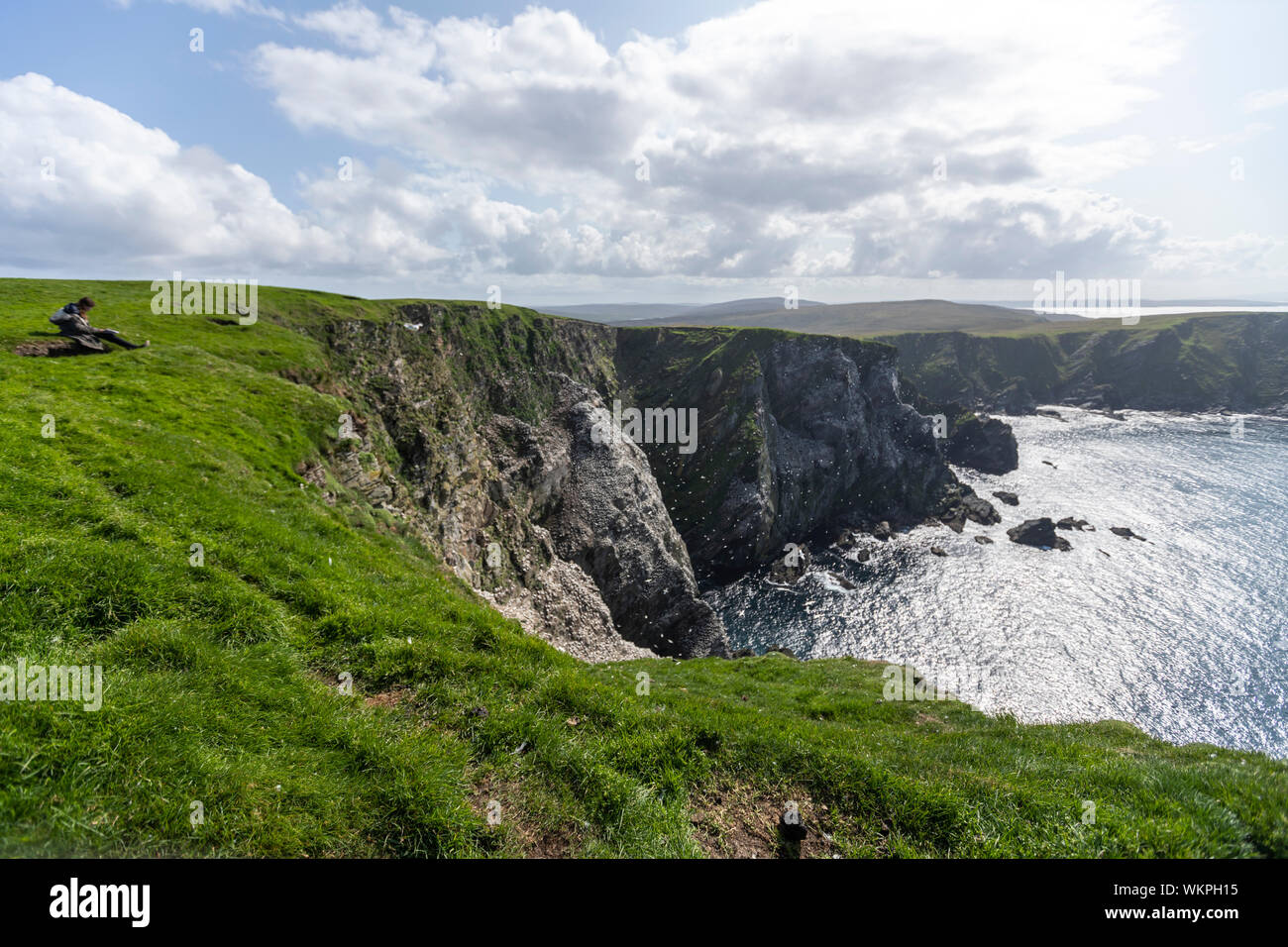 Tourist seated looking the cliffs in Unst Hermaness National Nature ...