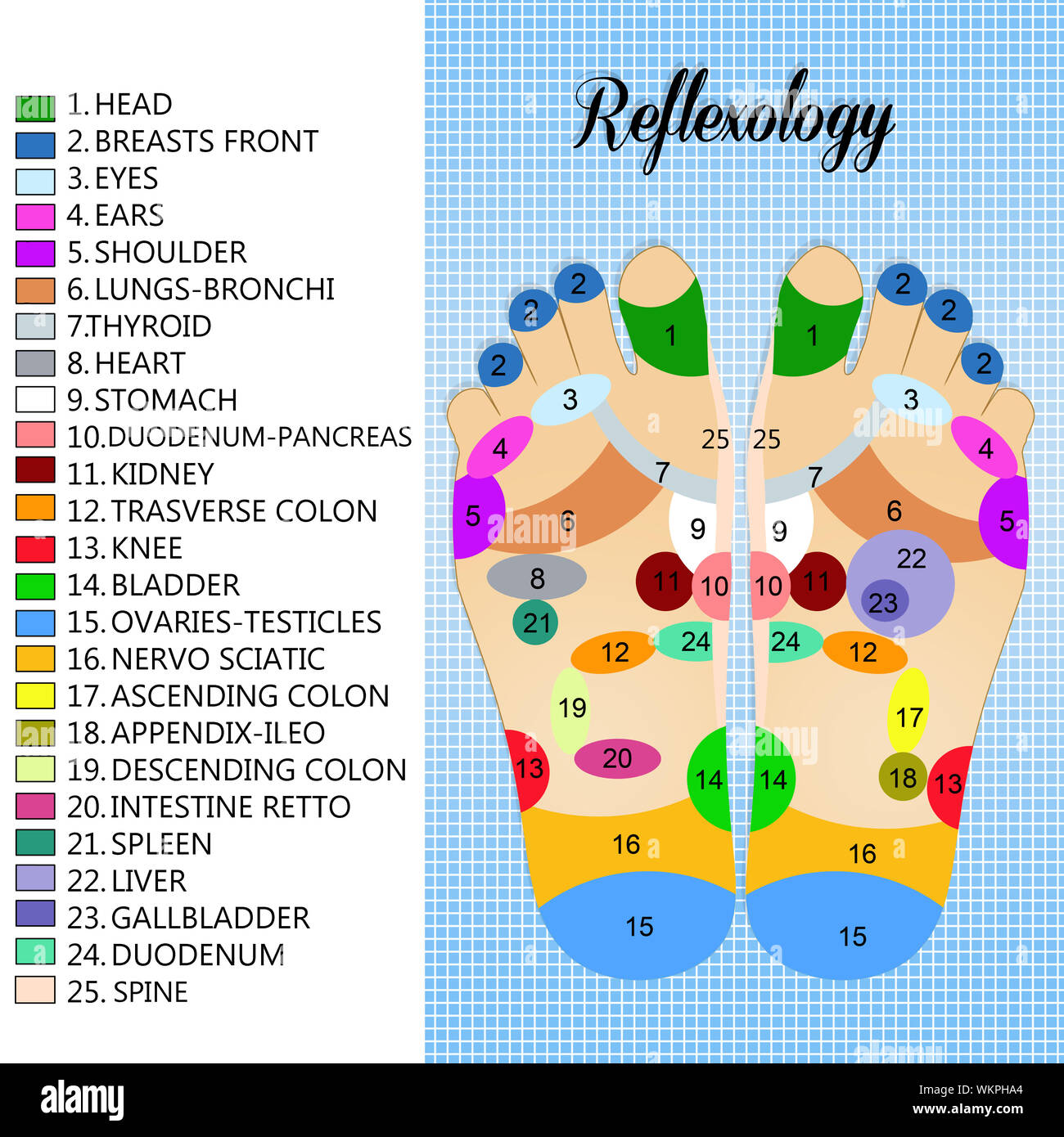 Reflexology foot map hi-res stock photography and images - Alamy