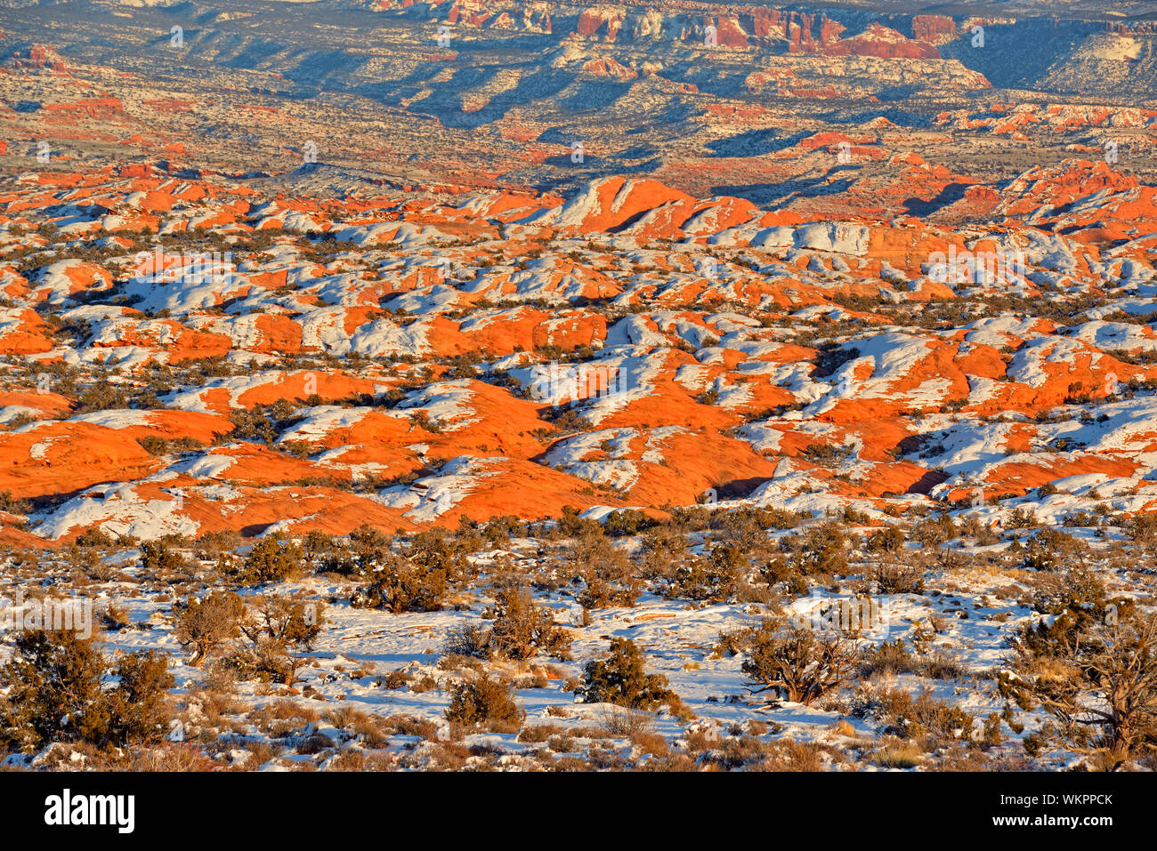 Sandstone rock spires and La Sal Mountains in winter, Arches National ...