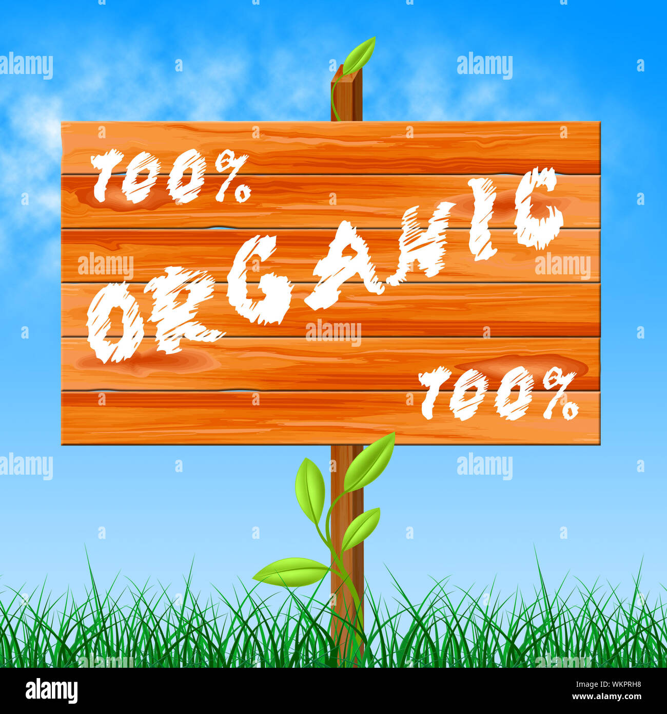 One Hundred Percent Indicating Organic Products And Green Stock Photo ...