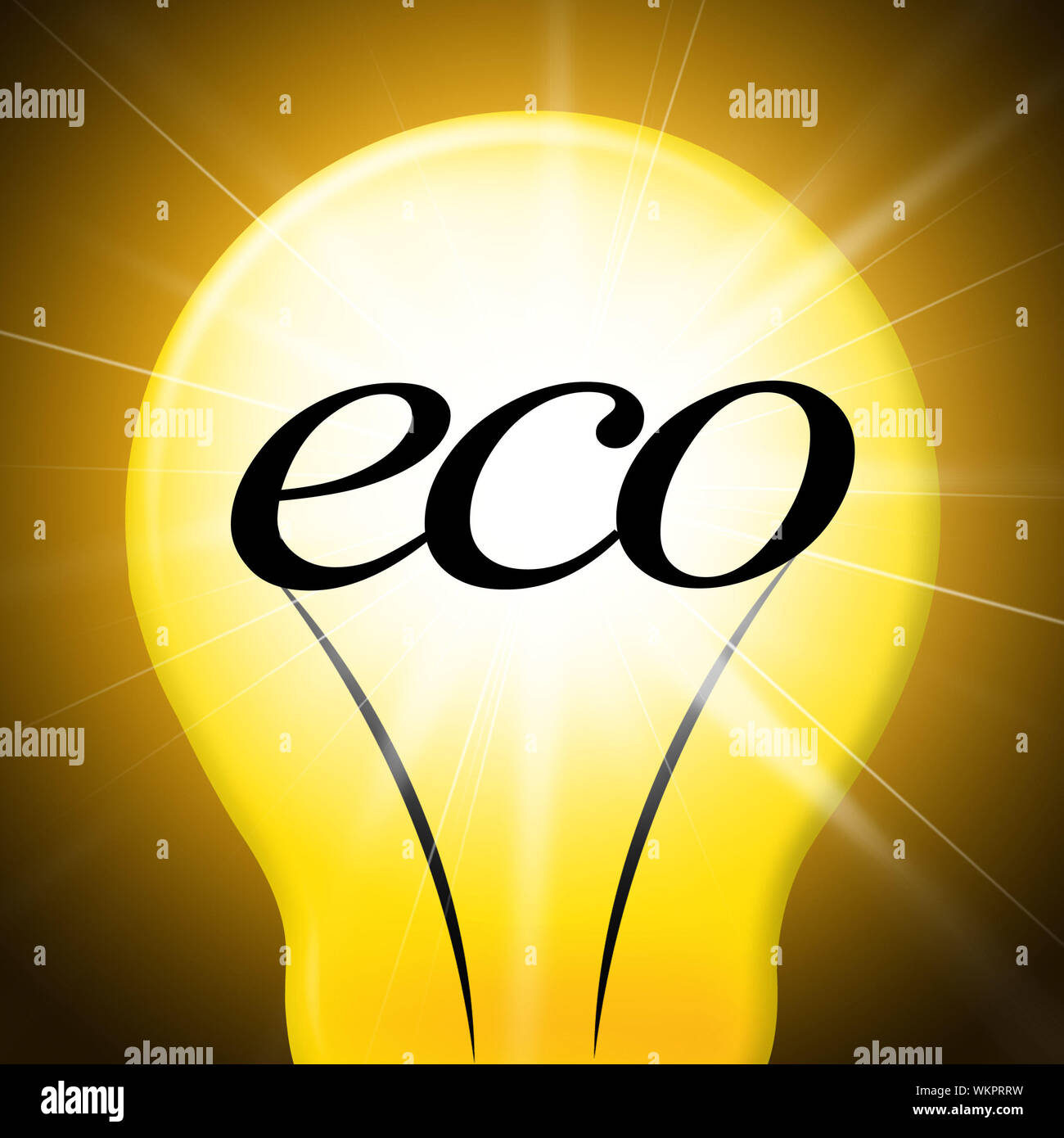 Environmentally Friendly Meaning