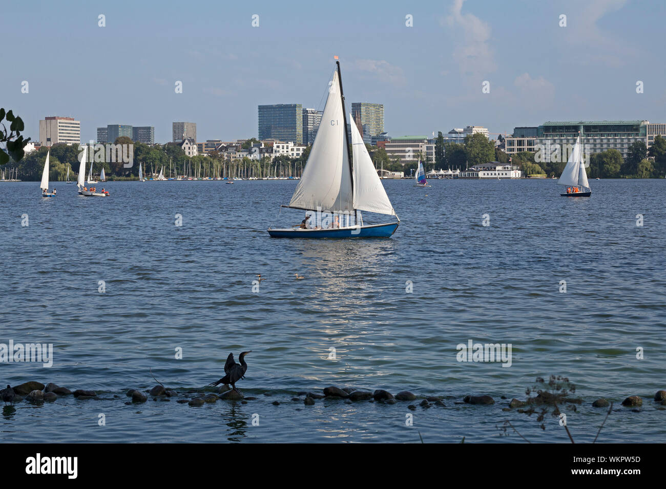 sailing boats on Lake Outer Alster, Hamburg, Germany Stock Photo - Alamy