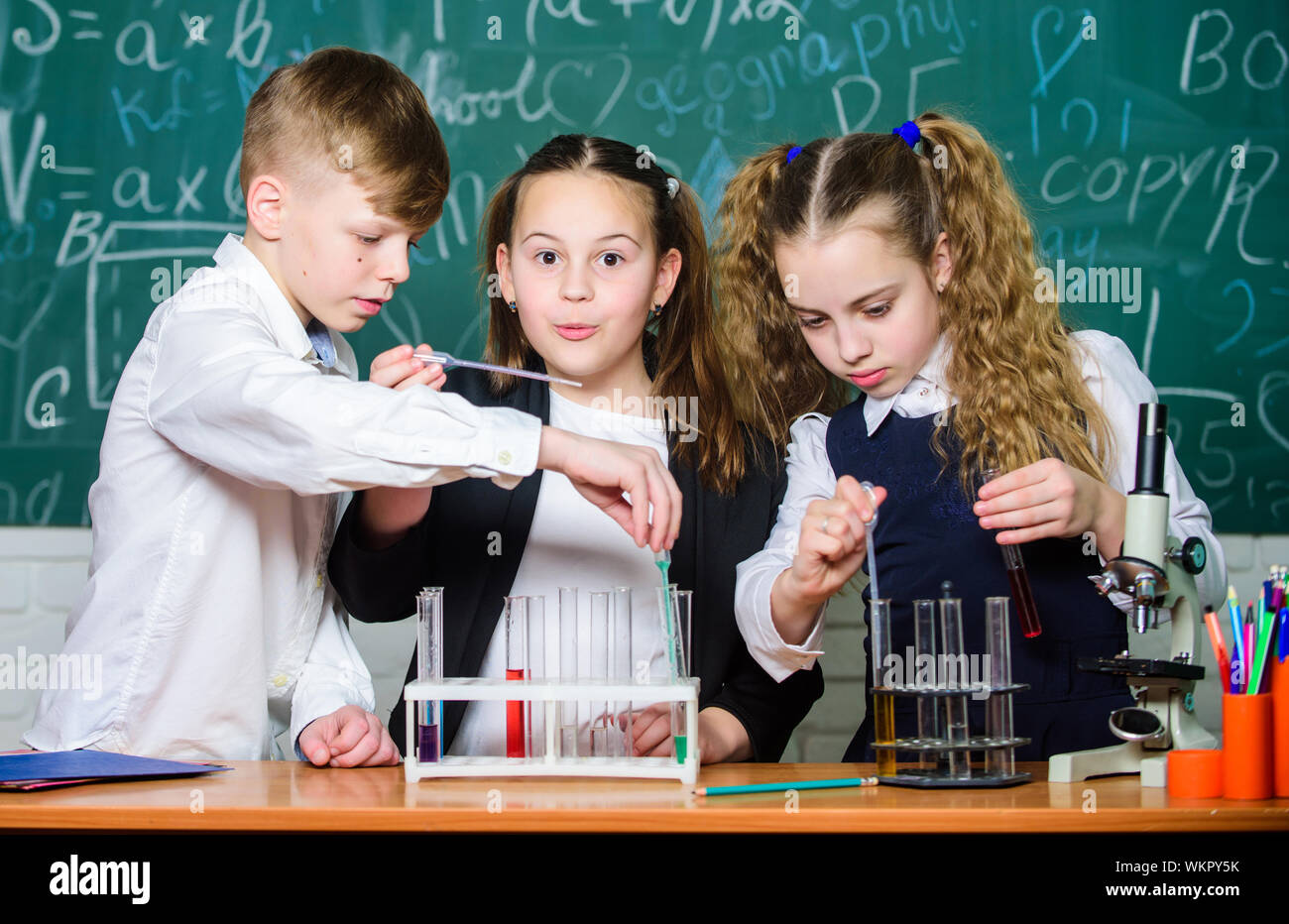 Group school pupils with test tubes study chemical liquids. School ...