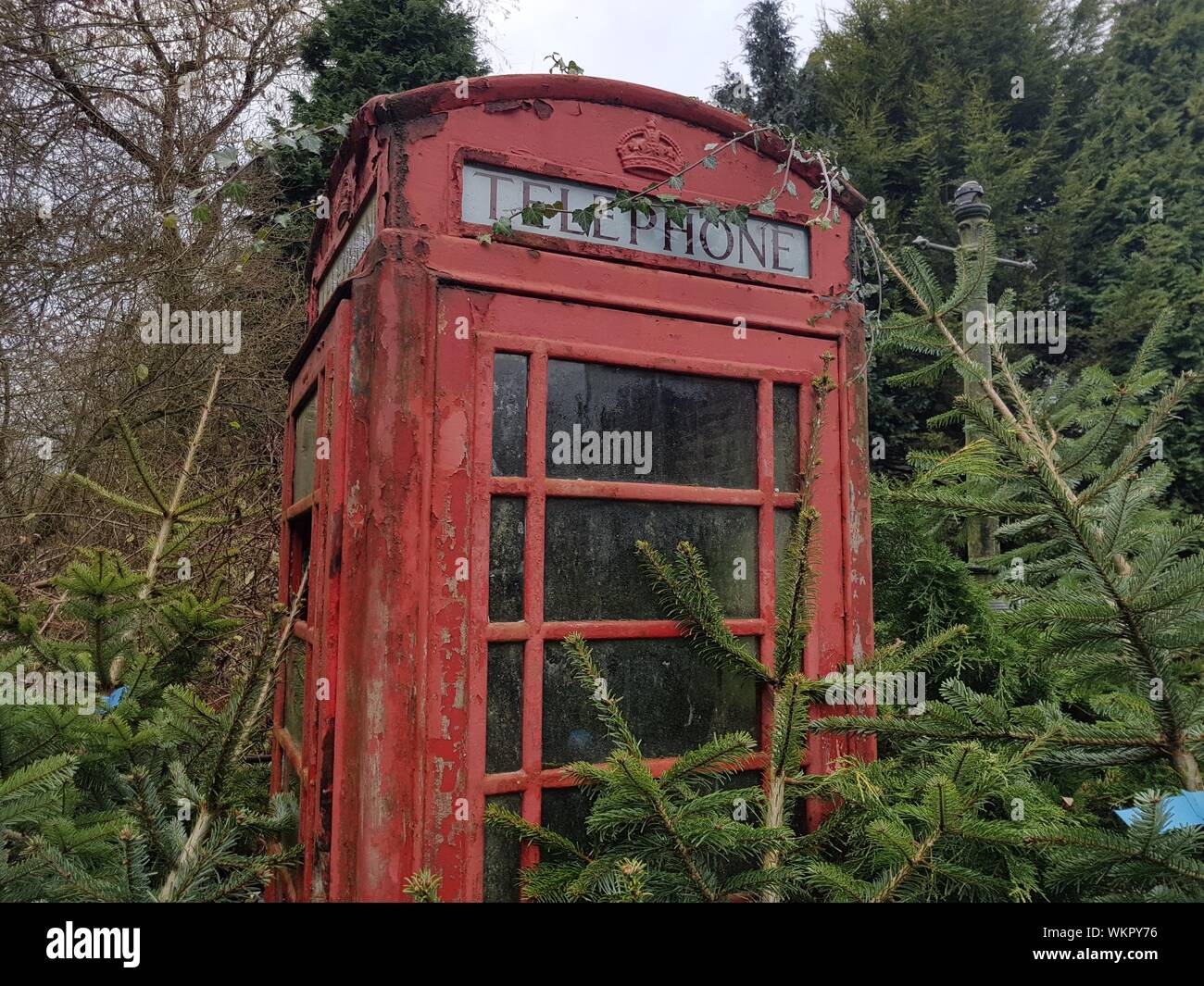 Abandoned phone booth hi-res stock photography and images - Alamy
