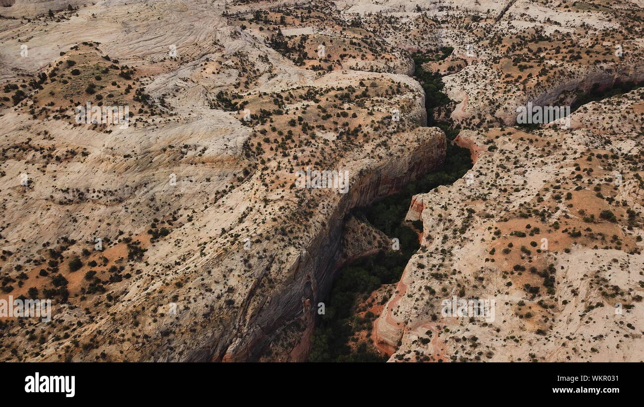 The veins of the traces of the ice age in Zion National Park, Utah ...