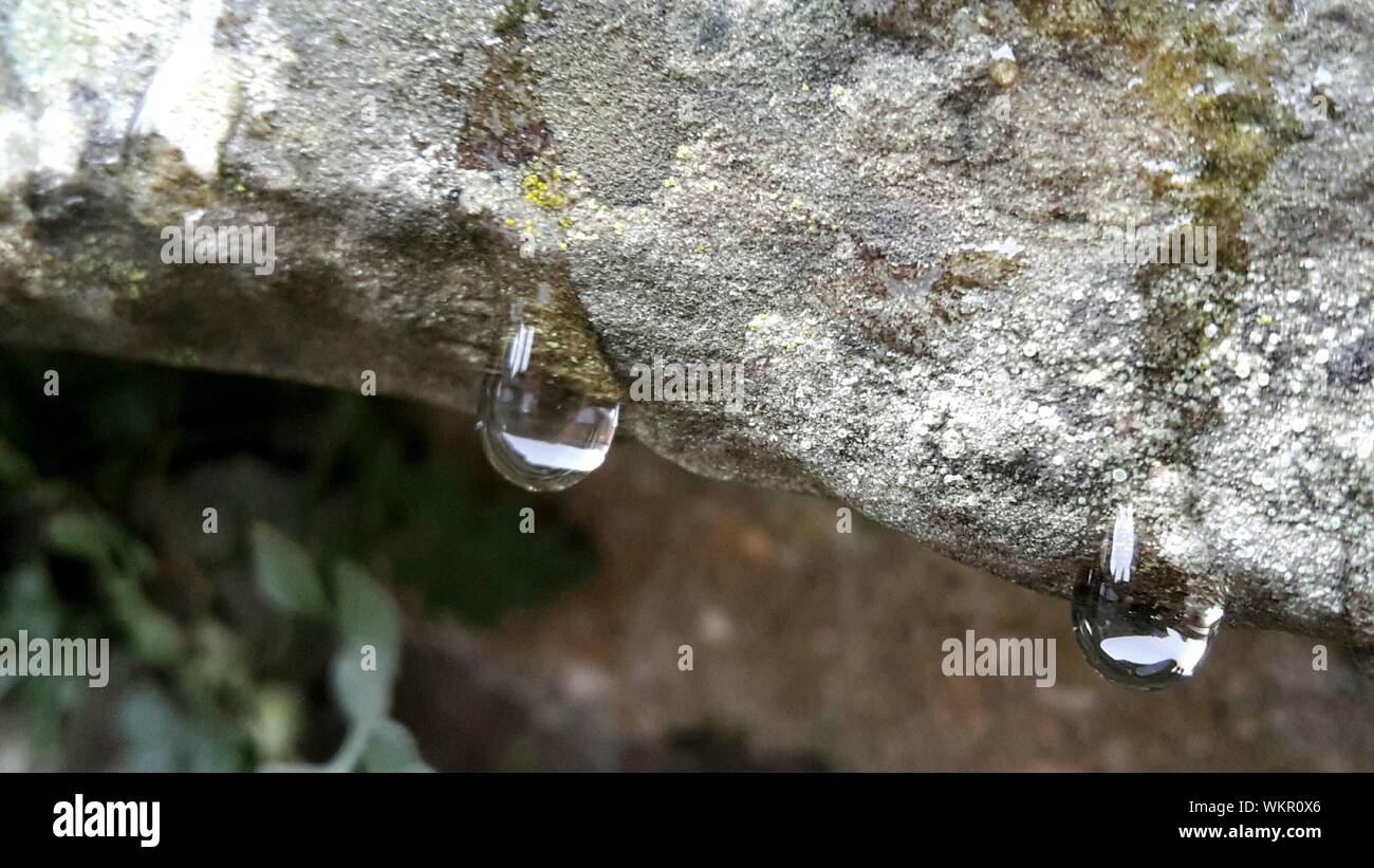 Water Dripping Rock High Resolution Stock Photography and Images - Alamy
