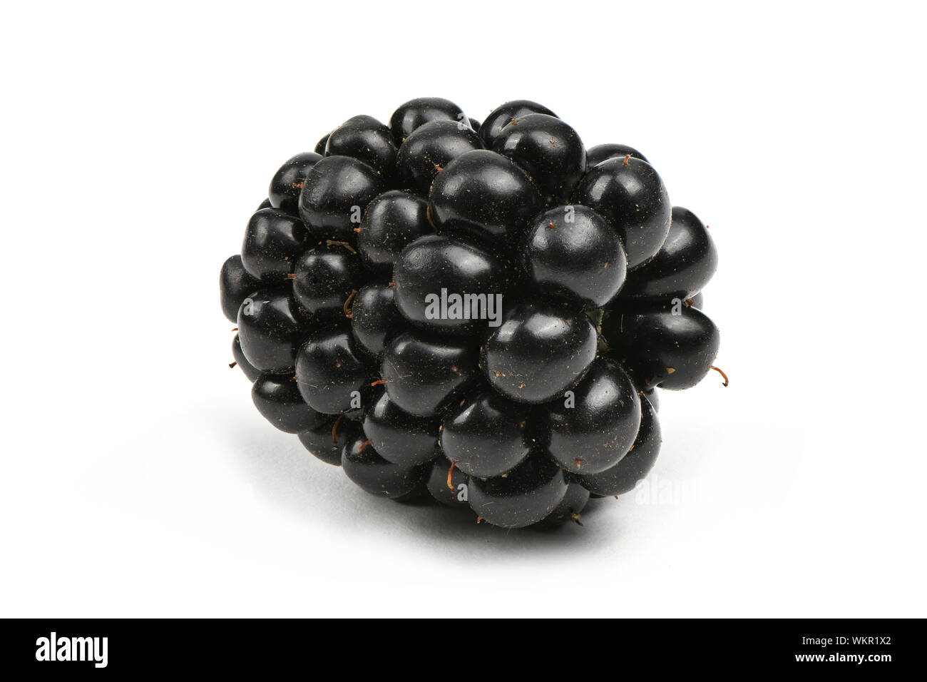Ripe blackberry isolated white background. High resolution photo. Full ...