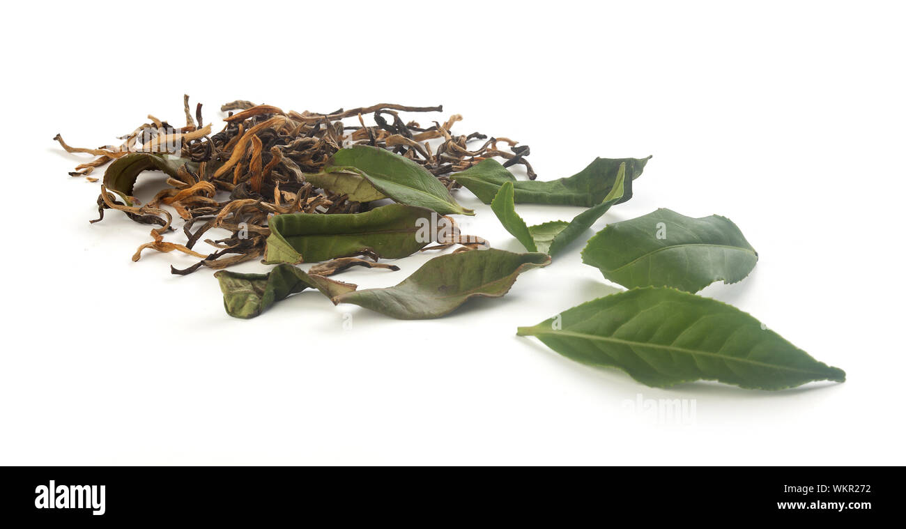 Heap fresh leaves green Cut Out Stock Images & Pictures - Alamy